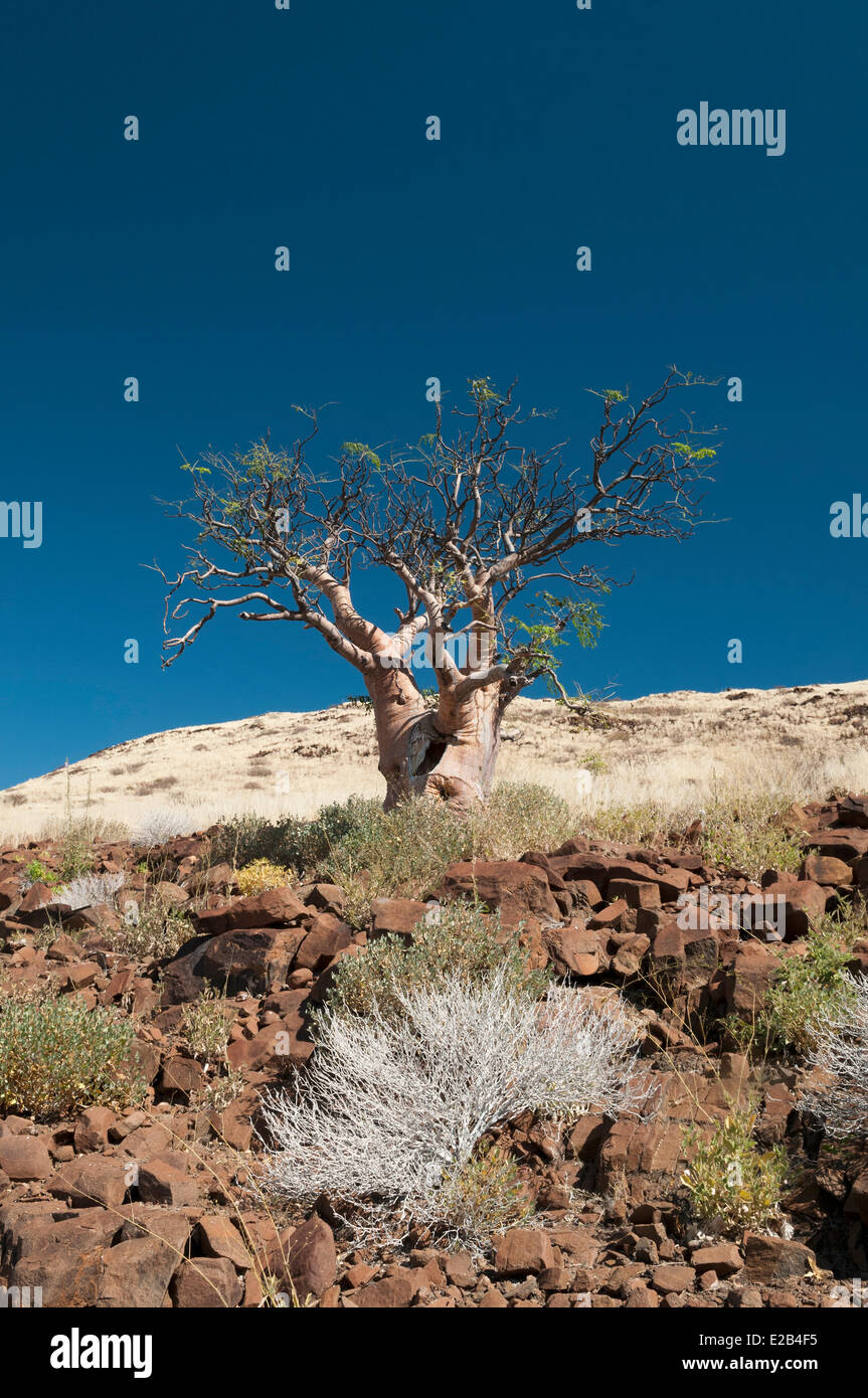 Torra conservancy hi-res stock photography and images - Alamy