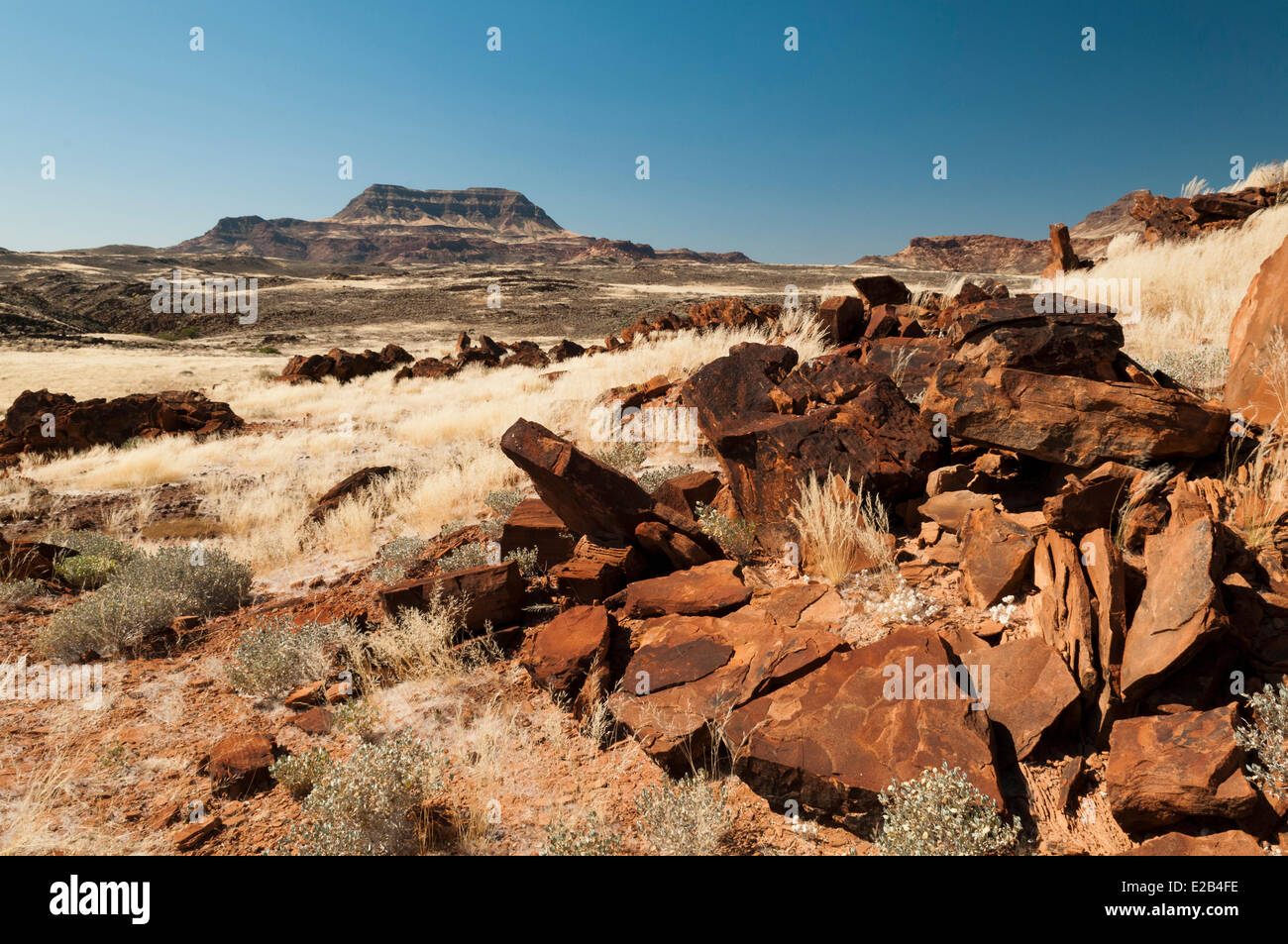 Namibia, Damaraland, Torra Conservancy, Huab River Valley Stock Photo ...
