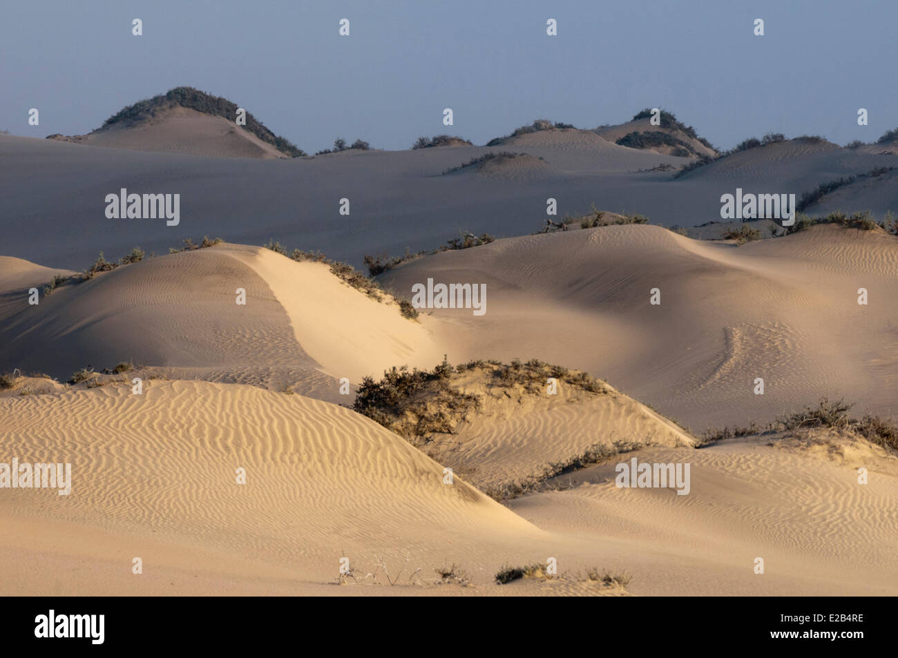 Namibia, Skeleton Coast National Park, Sand dunes Stock Photo - Alamy