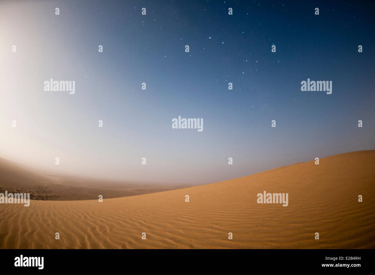 Southern sand star hi-res stock photography and images - Alamy