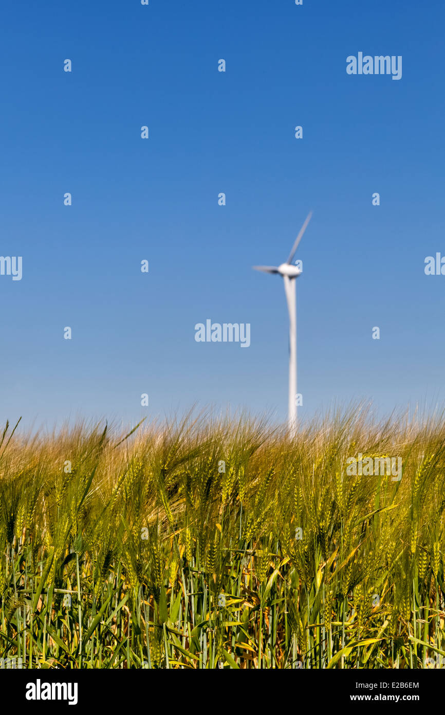 Wind turbine in field Stock Photo - Alamy
