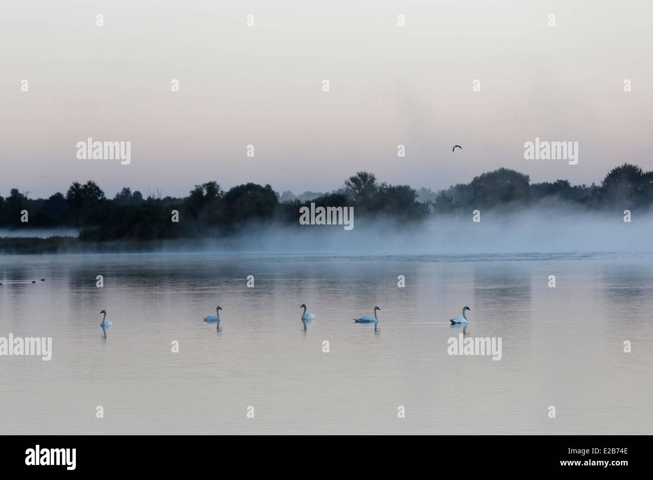 France, Indre, Berry, Parc Naturel Regional de la Brenne (Natural ...