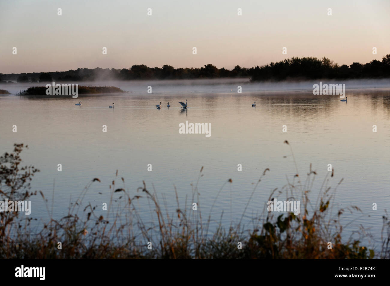 France, Indre, Berry, Parc Naturel Regional de la Brenne (Natural ...
