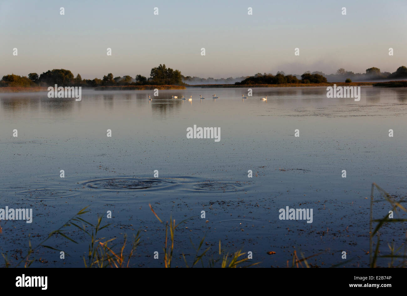 France, Indre, Berry, Parc Naturel Regional de la Brenne (Natural ...