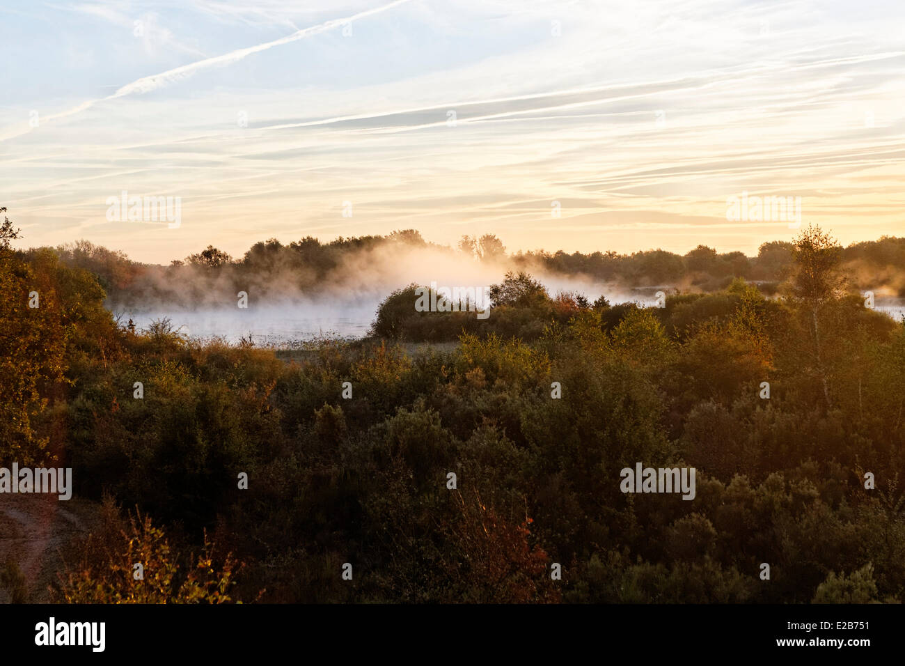 France, Indre, Berry, Parc Naturel Regional de la Brenne (Natural ...