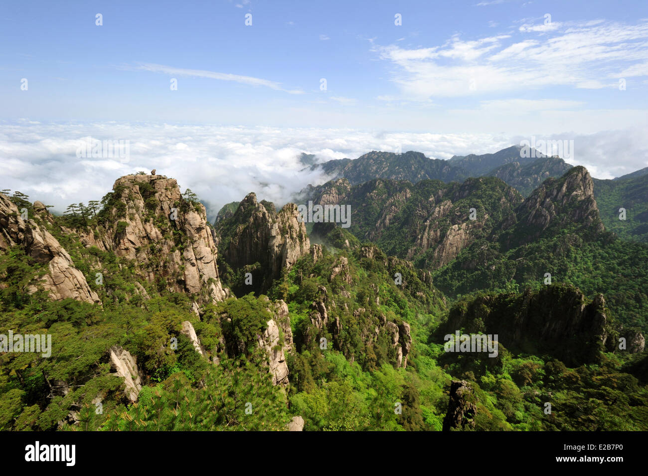 China, Anhui province, Huangshan mountain (Yellow mountains), listed as World Heritage by UNESCO ...