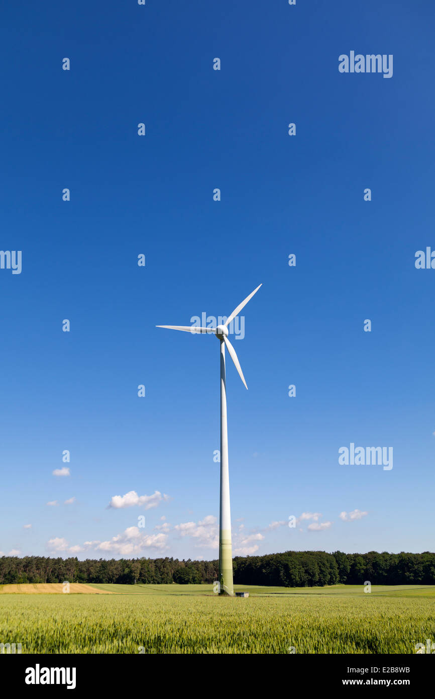 Wind turbine in corn field on bright, sunny day against blue sky Stock ...