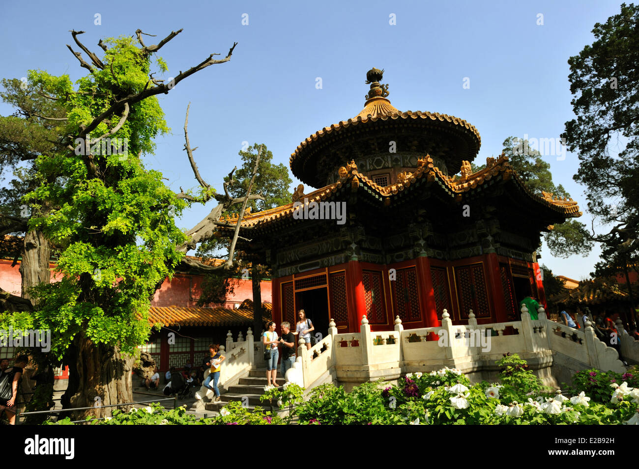 Imperial garden forbidden city china hi-res stock photography and ...