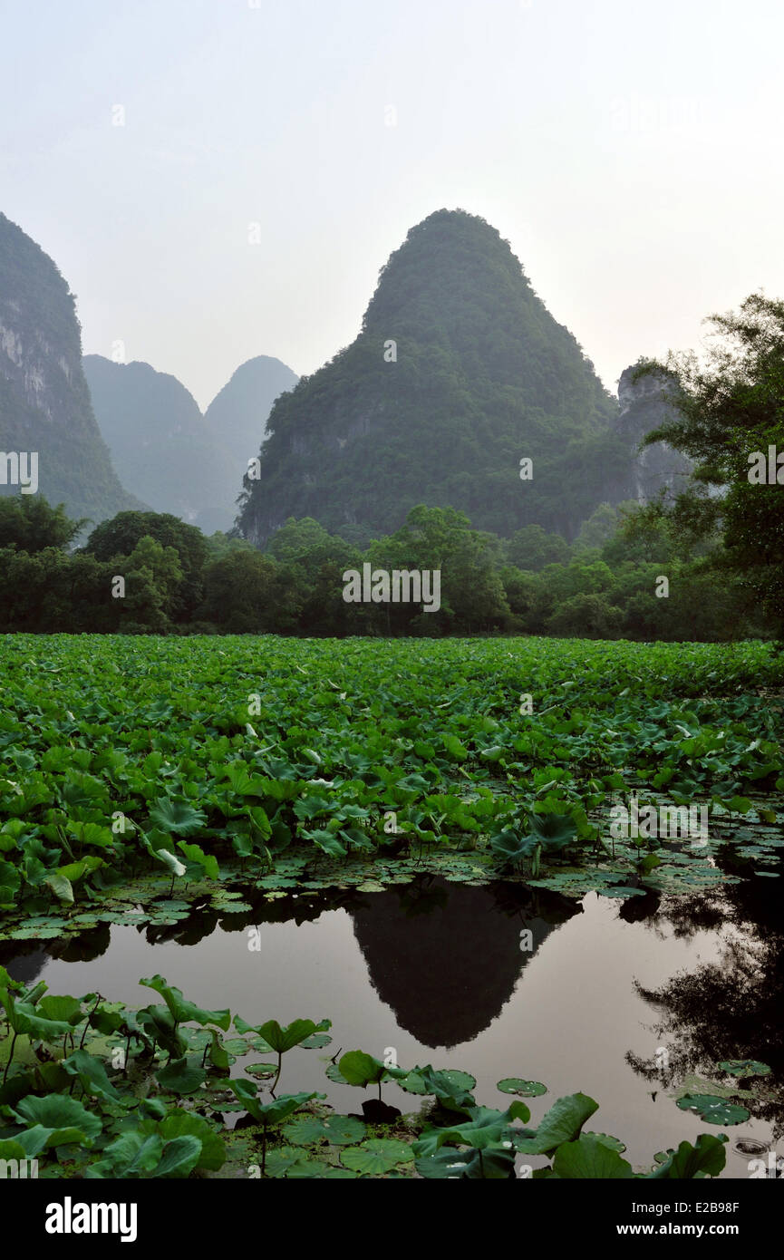 China, Guangxi province, Guilin region, Karst mountain landscape around ...