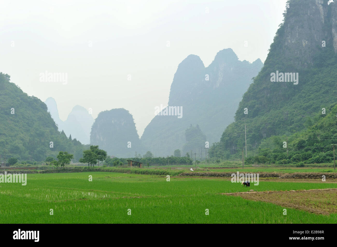 China, Guangxi province, Guilin region, Karst mountain landscape around ...