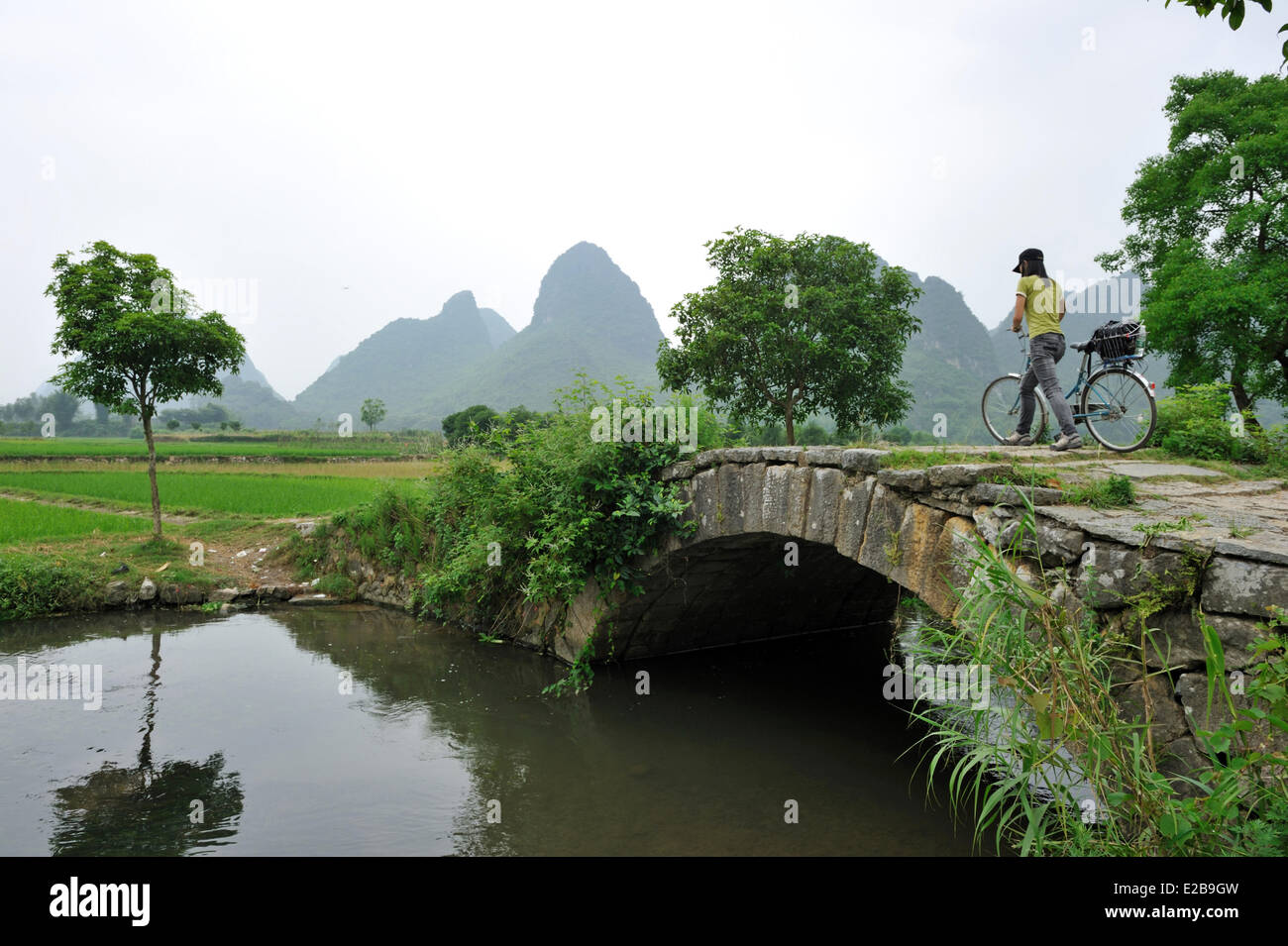 China, Guangxi province, Guilin region, Karst mountain and rice field ...