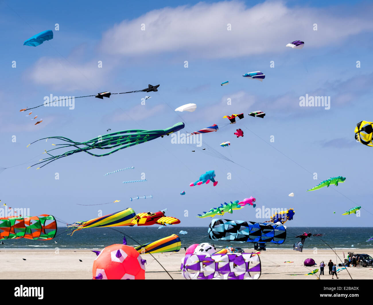 Kites on Rindby beach at the island Fanoe, Denmark Stock Photo - Alamy