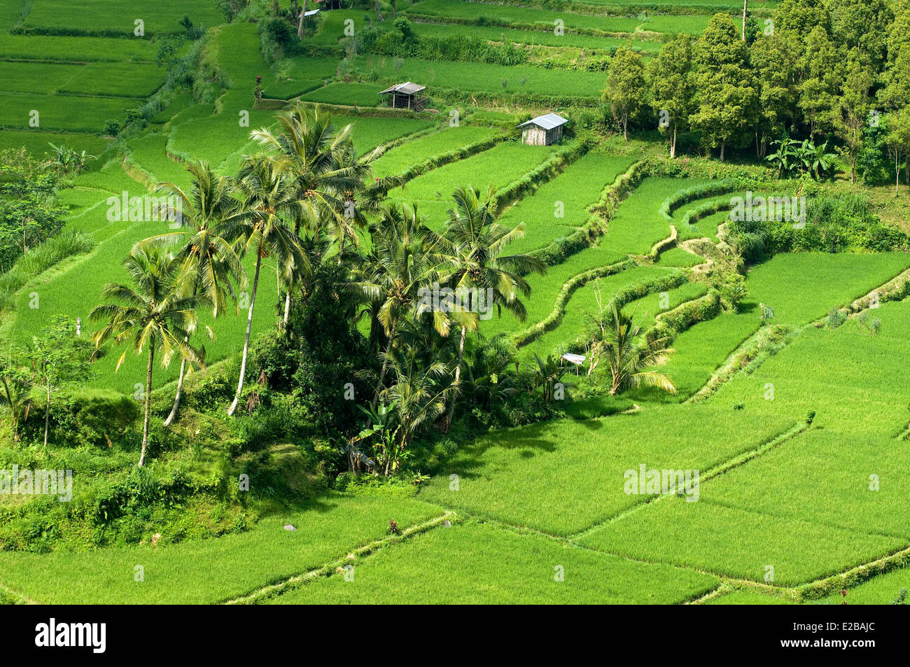 The subak system and bali hi-res stock photography and images - Alamy