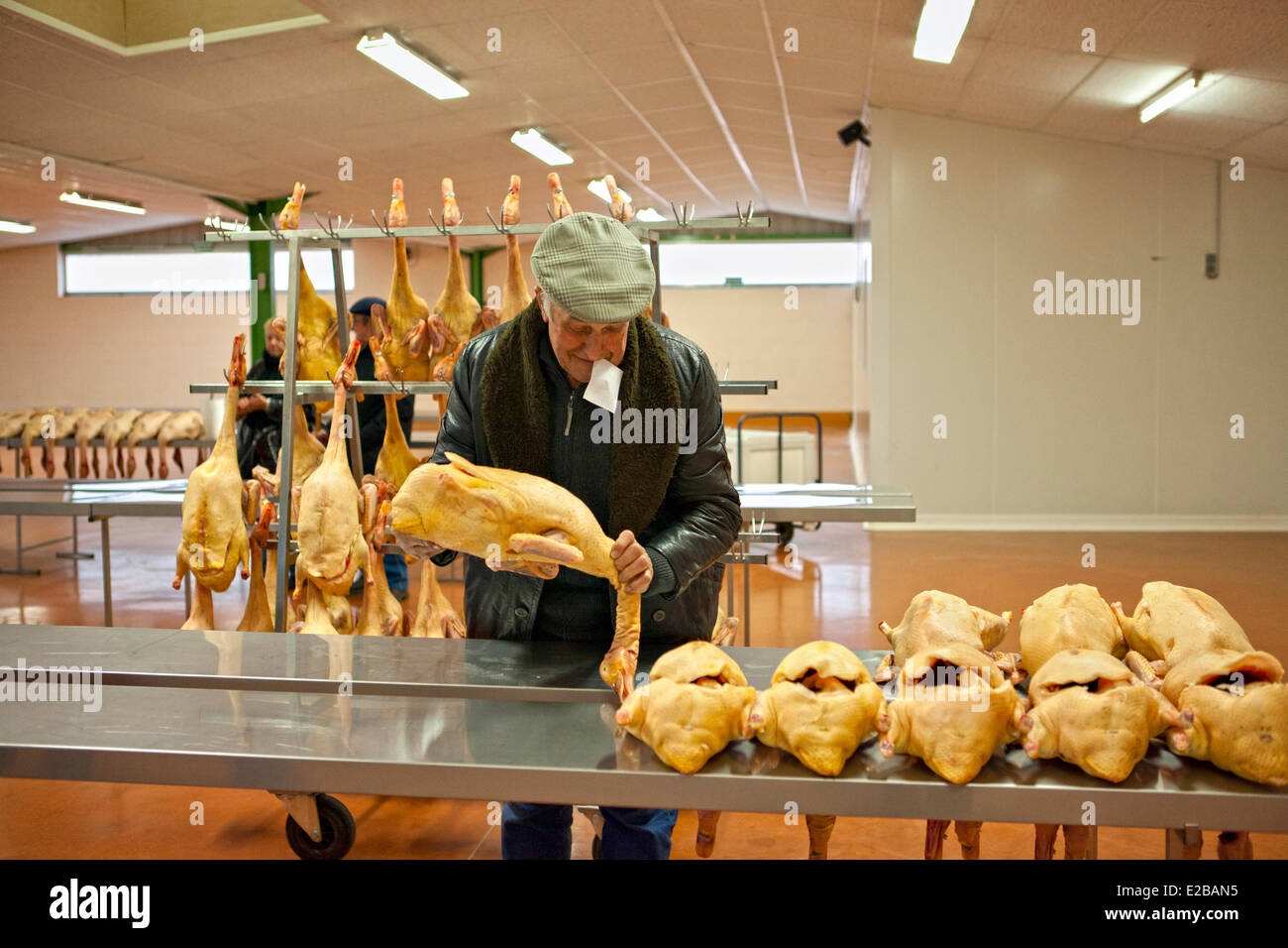 France, Gers, Samatan, fat market Stock Photo - Alamy
