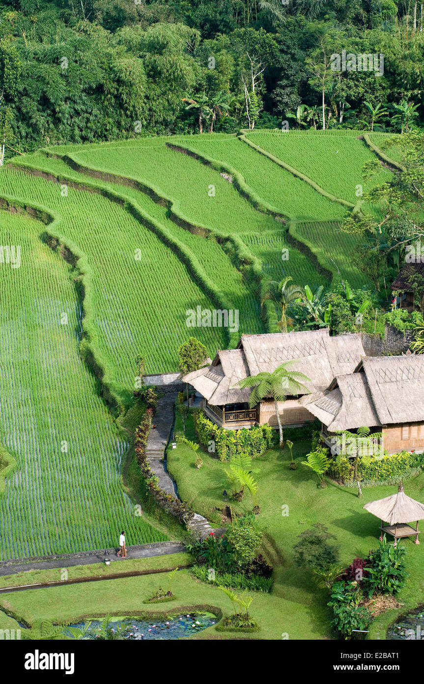 Irrigation system asia hi-res stock photography and images - Alamy