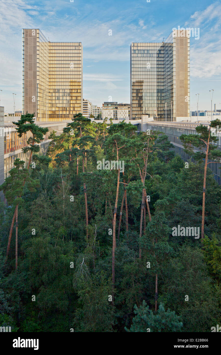 France, Paris, National Library of France Francois Mitterand by the ...