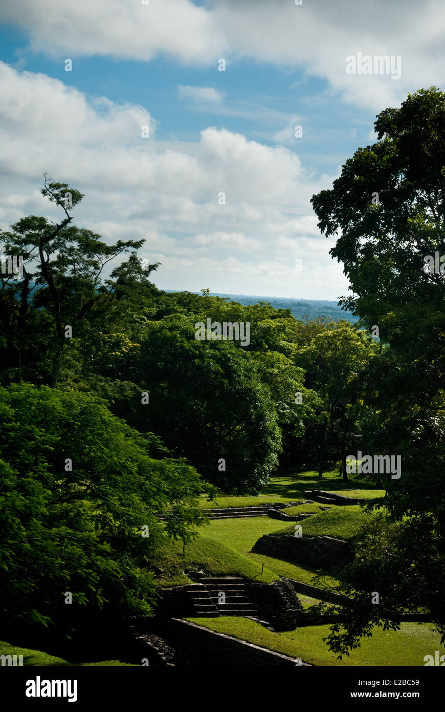 Landscape of the historic ruins of Palenque in Chiapas, Mexico Stock ...