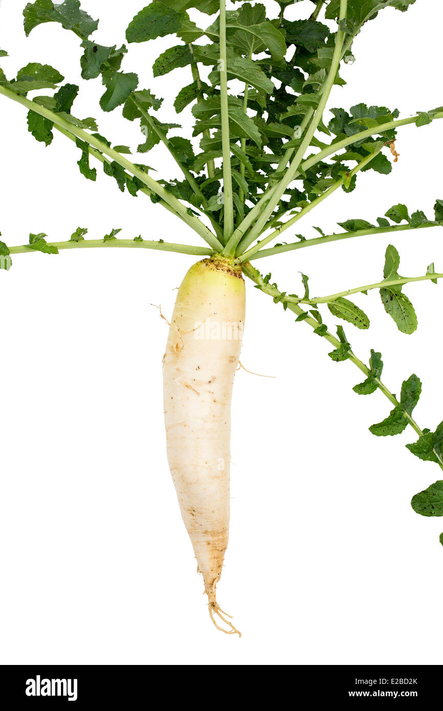 Chapet france hi-res stock photography and images - Alamy