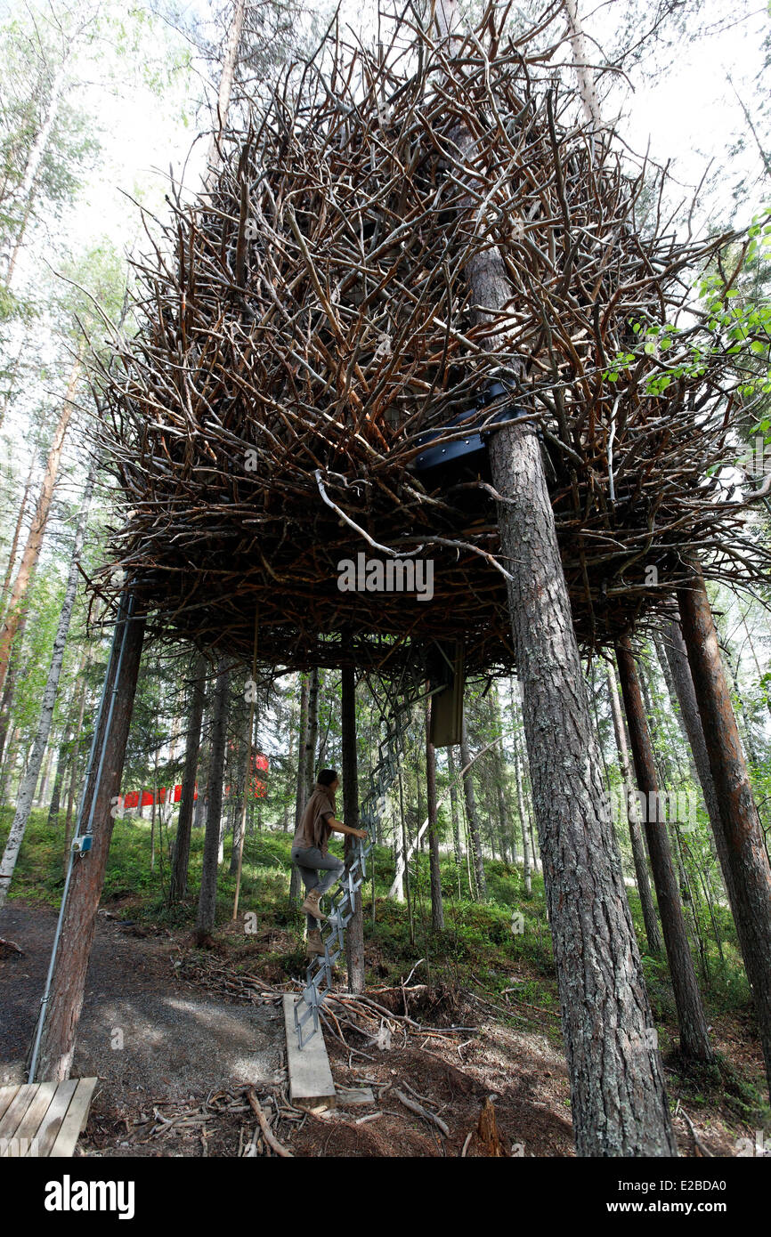 Sweden nest harads hi-res stock photography and images - Alamy