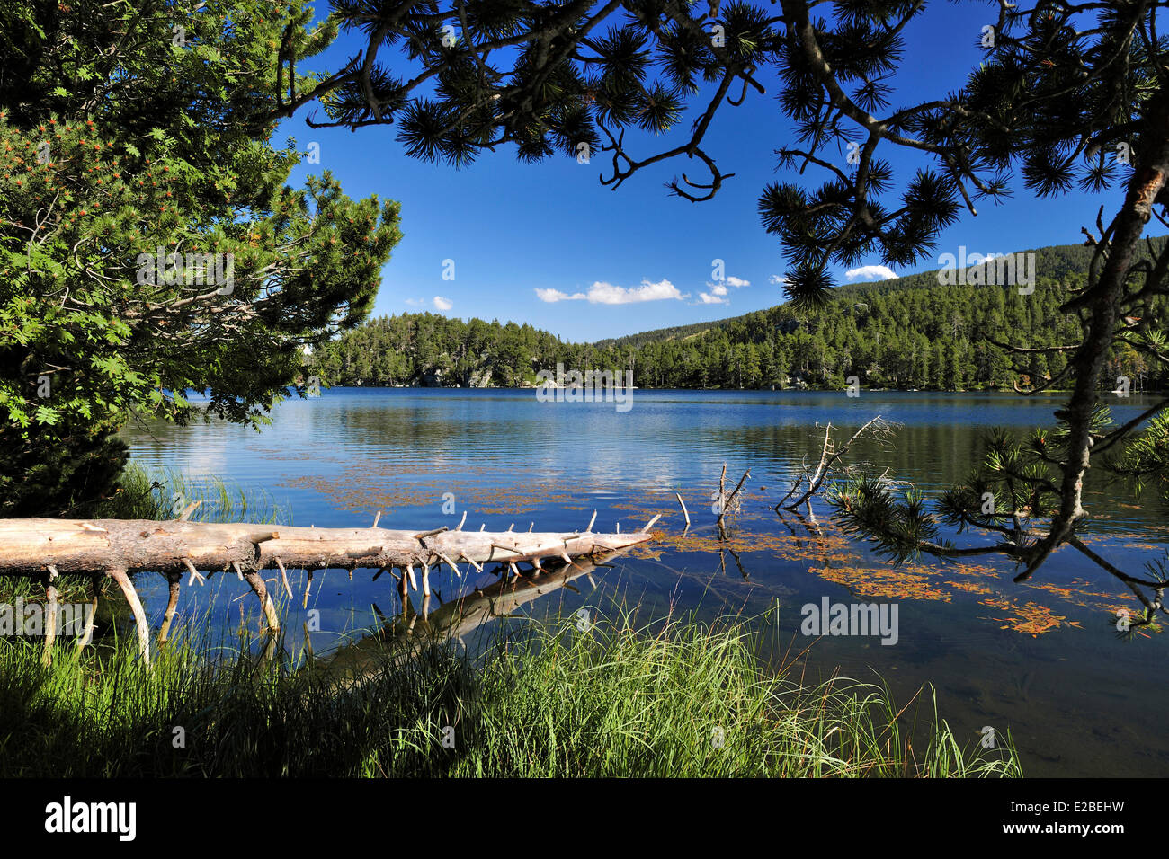 Etangs noir hi-res stock photography and images - Alamy