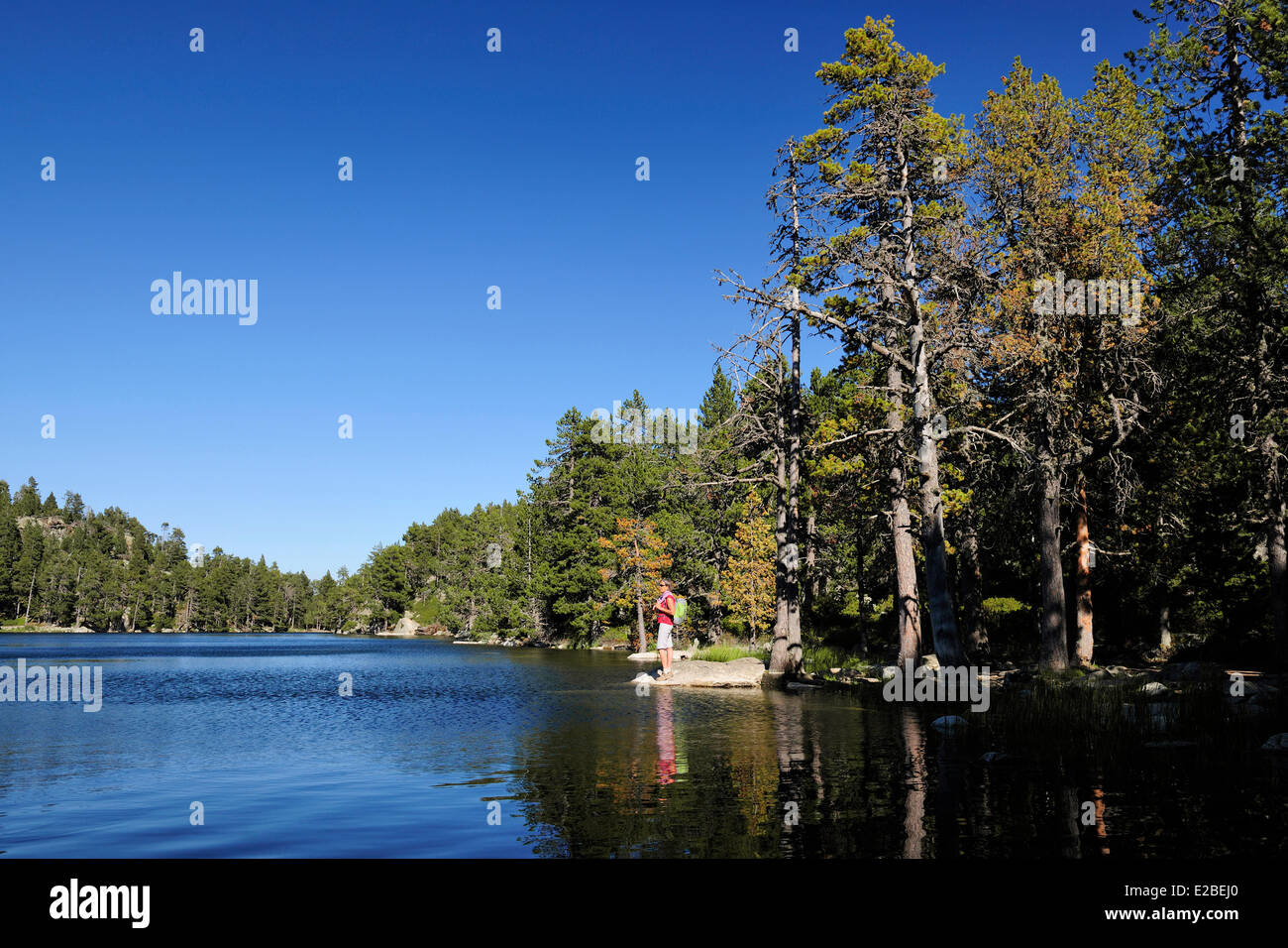 Etangs noir hi-res stock photography and images - Alamy