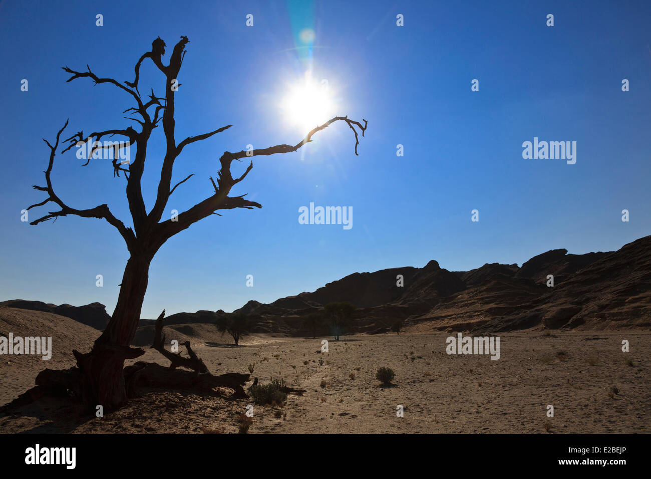 Namibia, Erongo and Hardap Regions, the Kuiseb River Valley, Namib ...