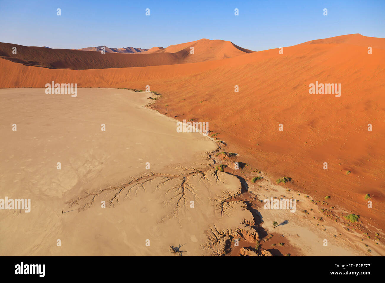 Namibia, Hardap Region, Namib Naukluft National Park, Namib Desert ...