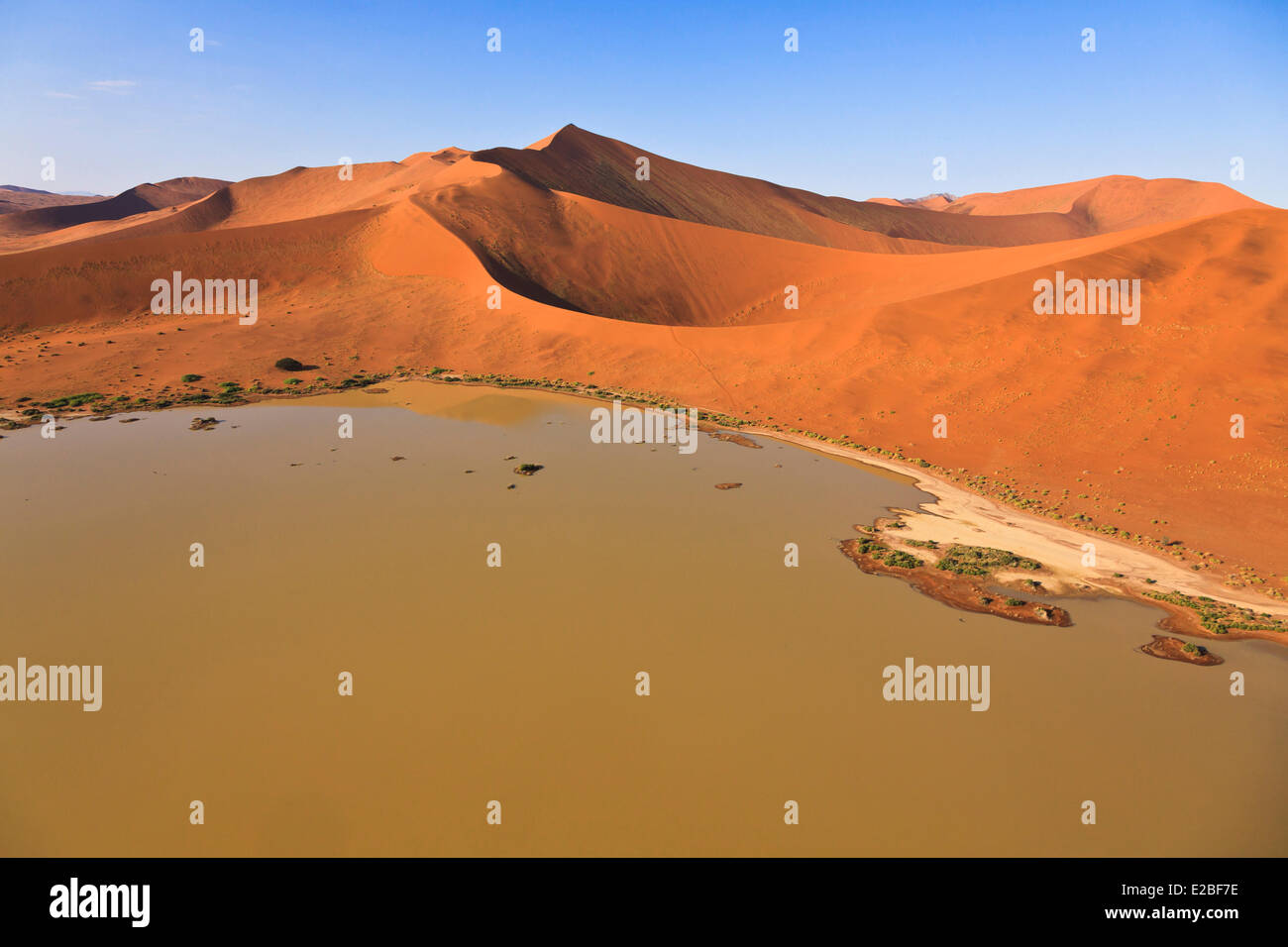 Namibia, Hardap Region, Namib Naukluft National Park, Namib Desert ...