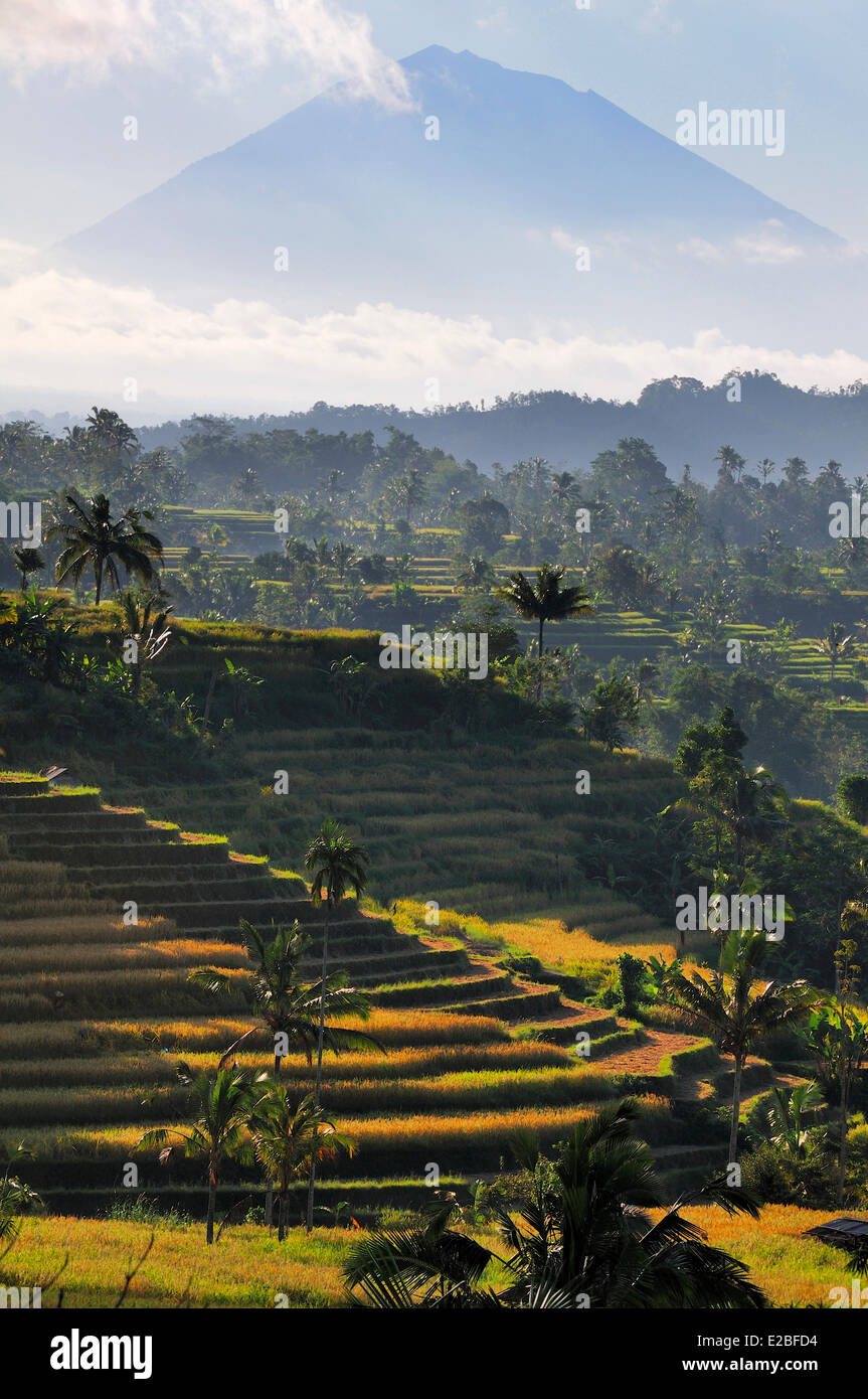 Indonesia, Bali, the rice fields of Jatiluwih, the subak system, listed ...