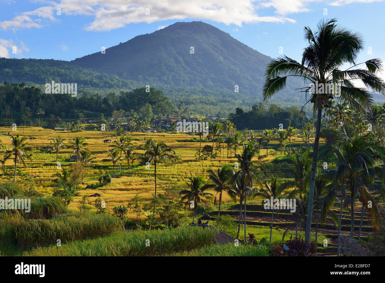 Indonesia, Bali, the rice fields of Jatiluwih, the subak system, listed ...