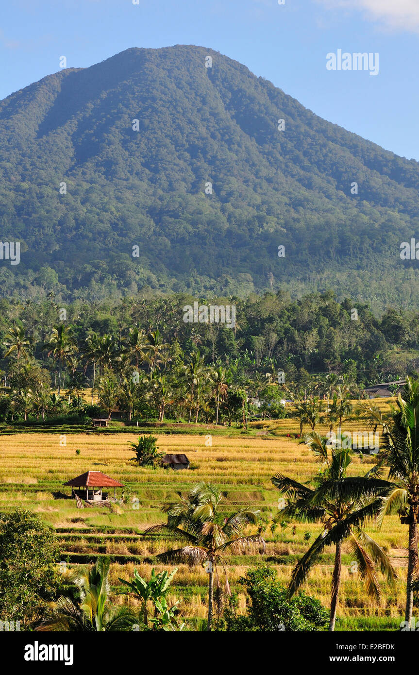 Indonesia, Bali, the rice fields of Jatiluwih, the subak system, listed ...