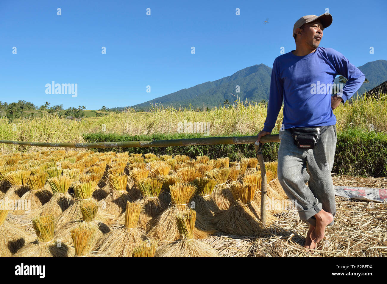 Indonesia, Bali, the rice fields of Jatiluwih, the subak system, listed ...