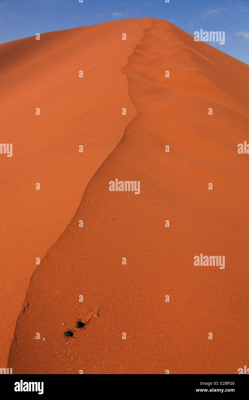 Namibia, Hardap Region, Namib Naukluft National Park, Namib Desert ...