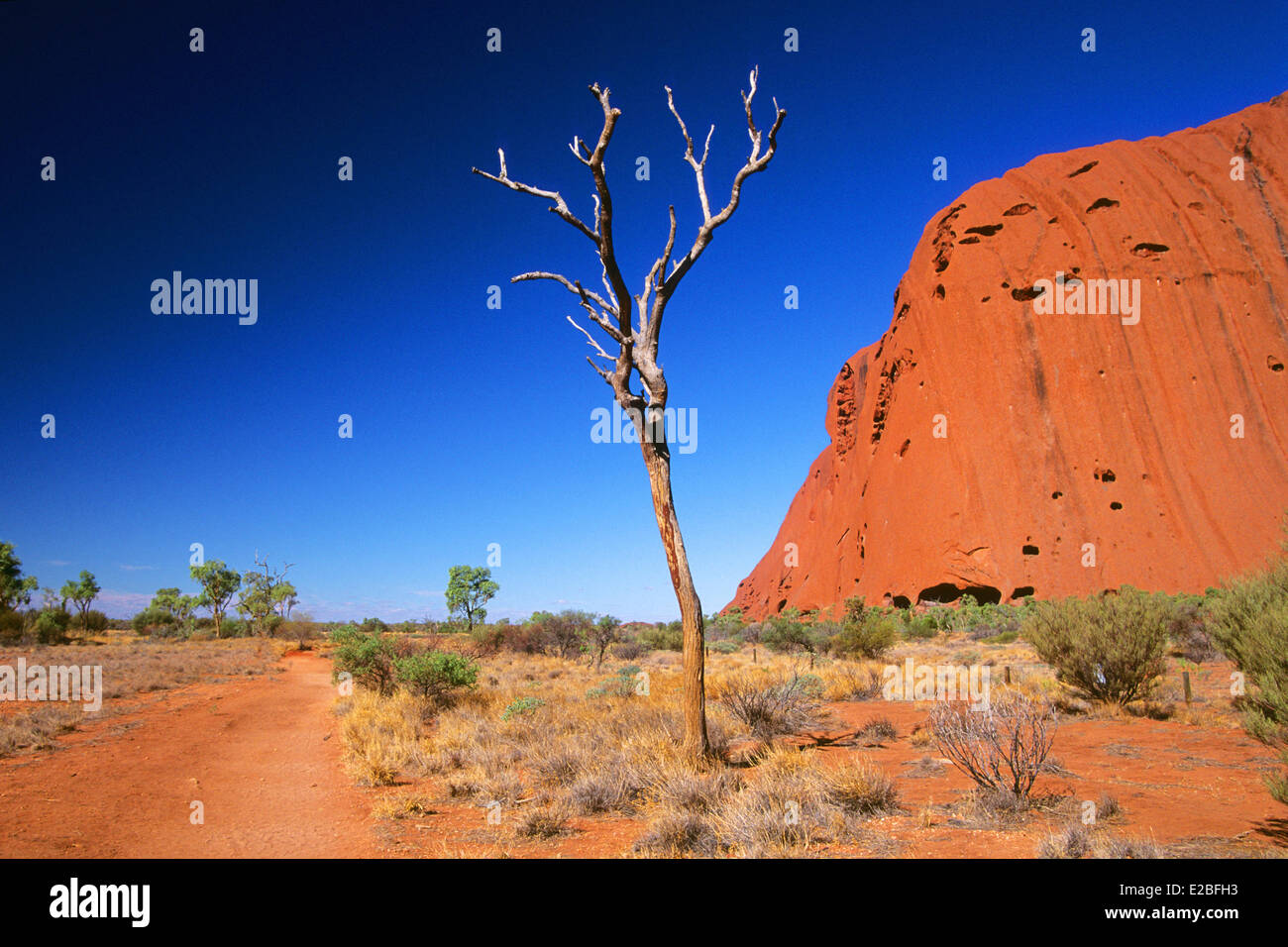 Australia, Northern Territory, National Park of Uluru-Kata Tjuta, Uluru ...