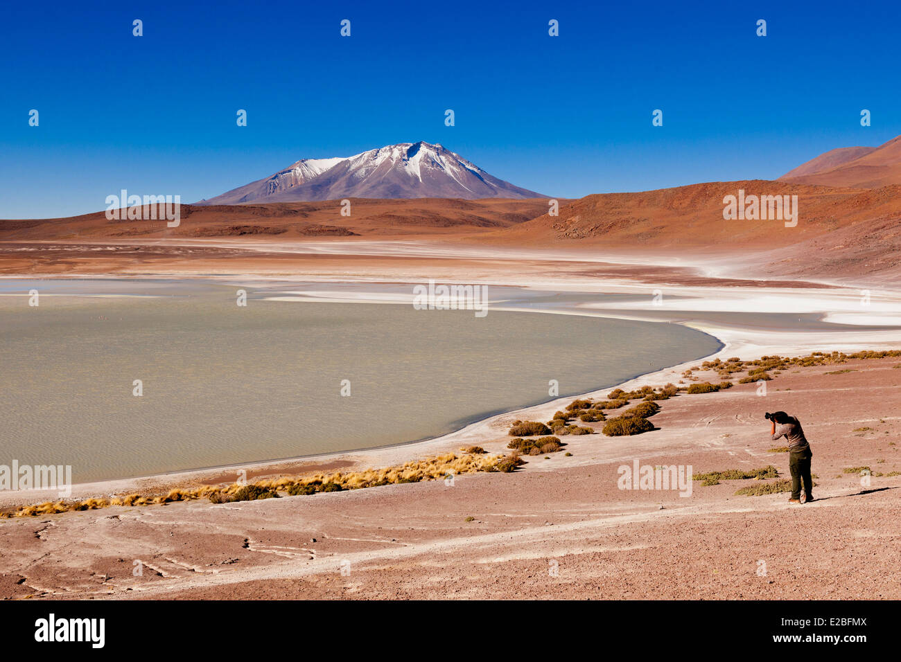 Bolivia, Potosi Department, Sur Lipez Province, Eduardo Avaroa Andean ...
