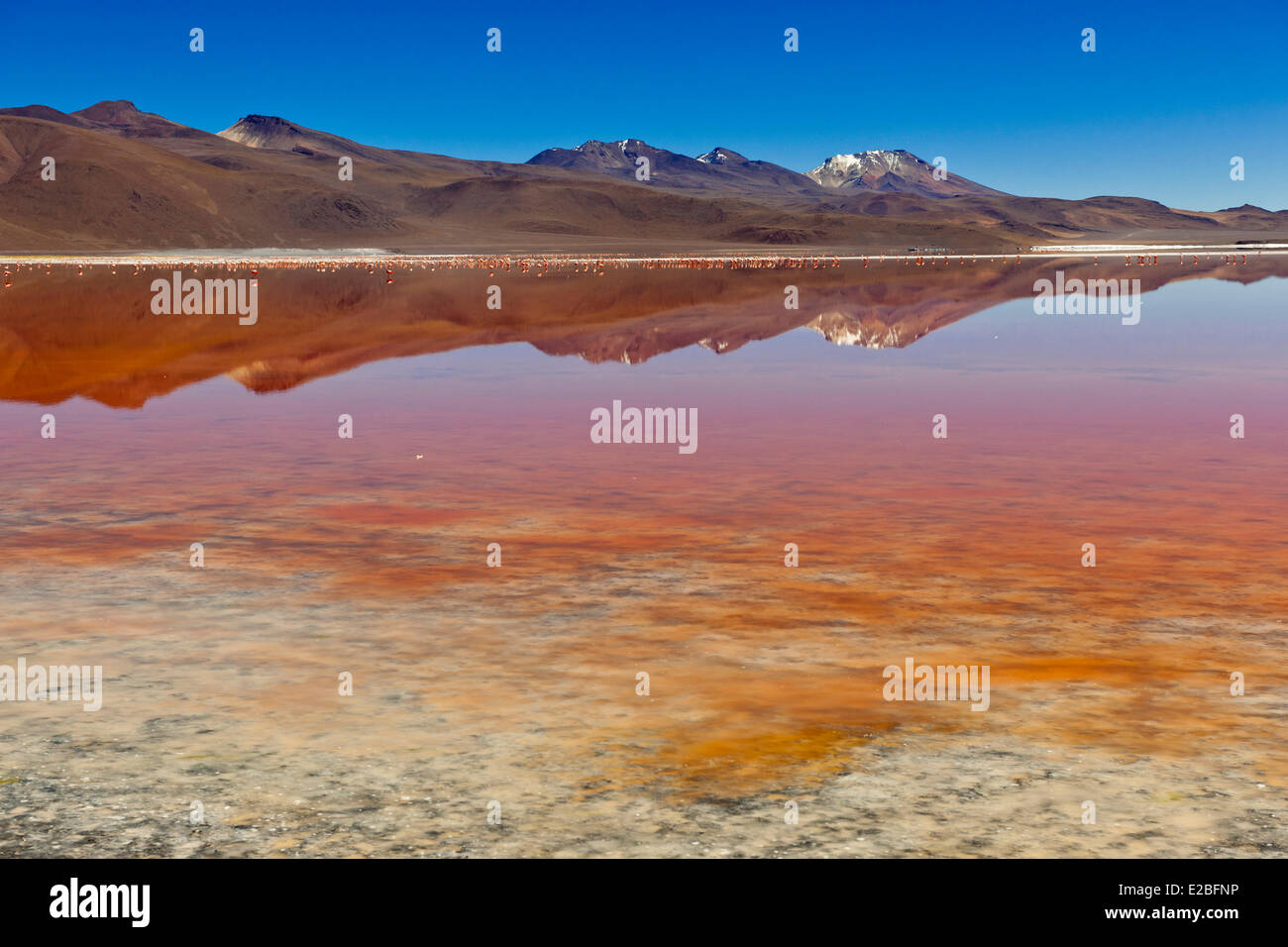 Bolivia, Potosi Department, Sur Lipez Province, Eduardo Avaroa Andean ...