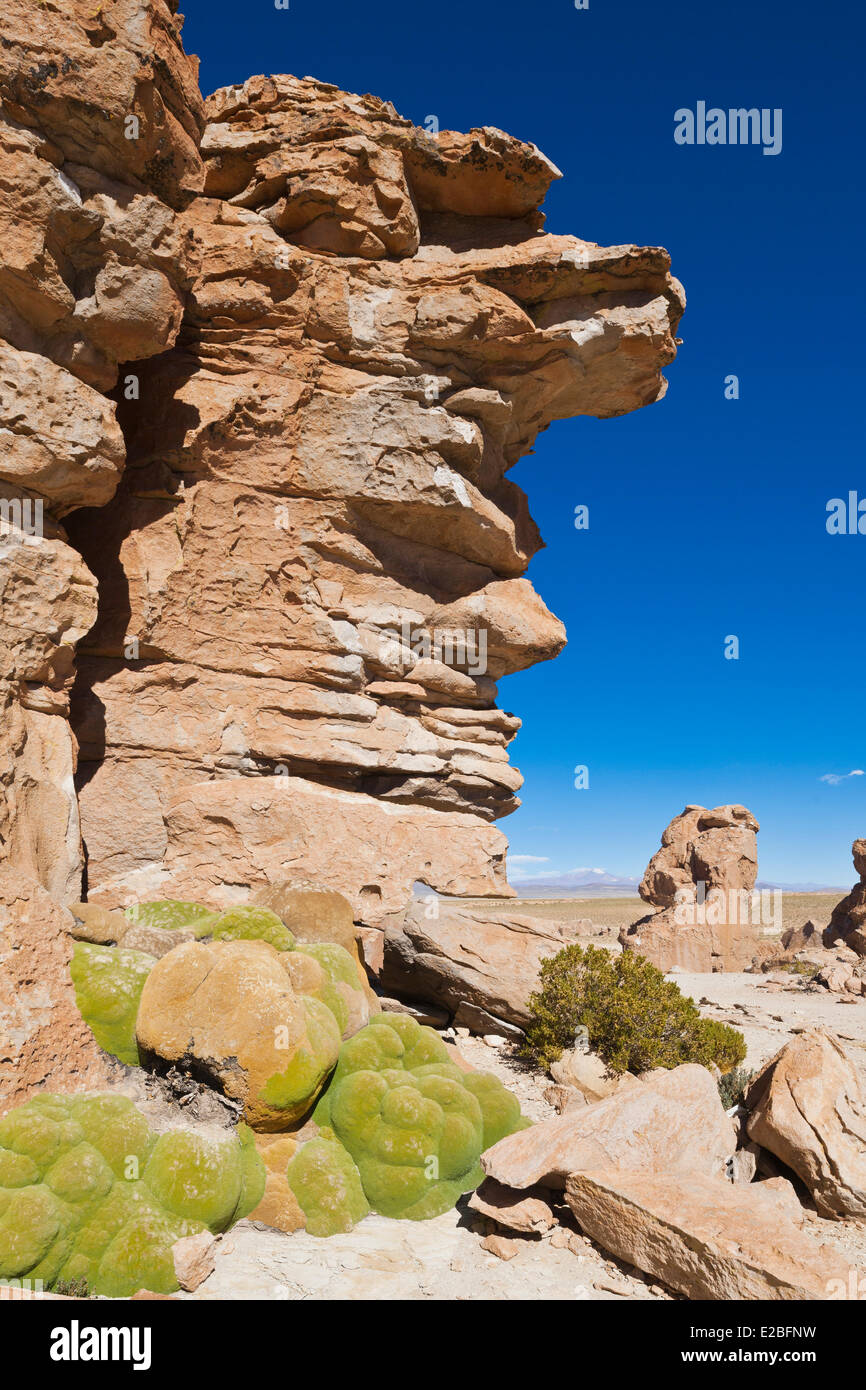 Bolivia, Potosi Department, Sur Lipez Province, Eduardo Avaroa Andean ...