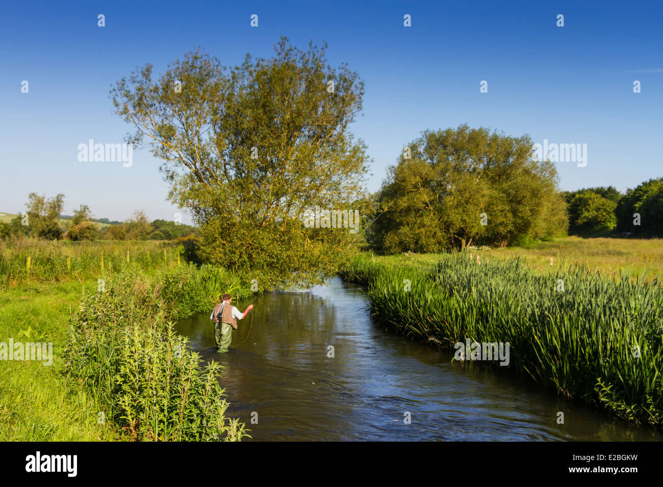 Trout fishing, River Wylye, Wiltshire, England Stock Photo - Alamy