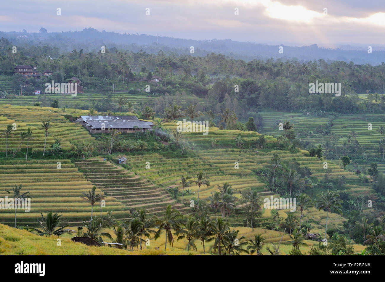 Indonesia, Bali, the rice fields of Jatiluwih, the subak system, listed ...