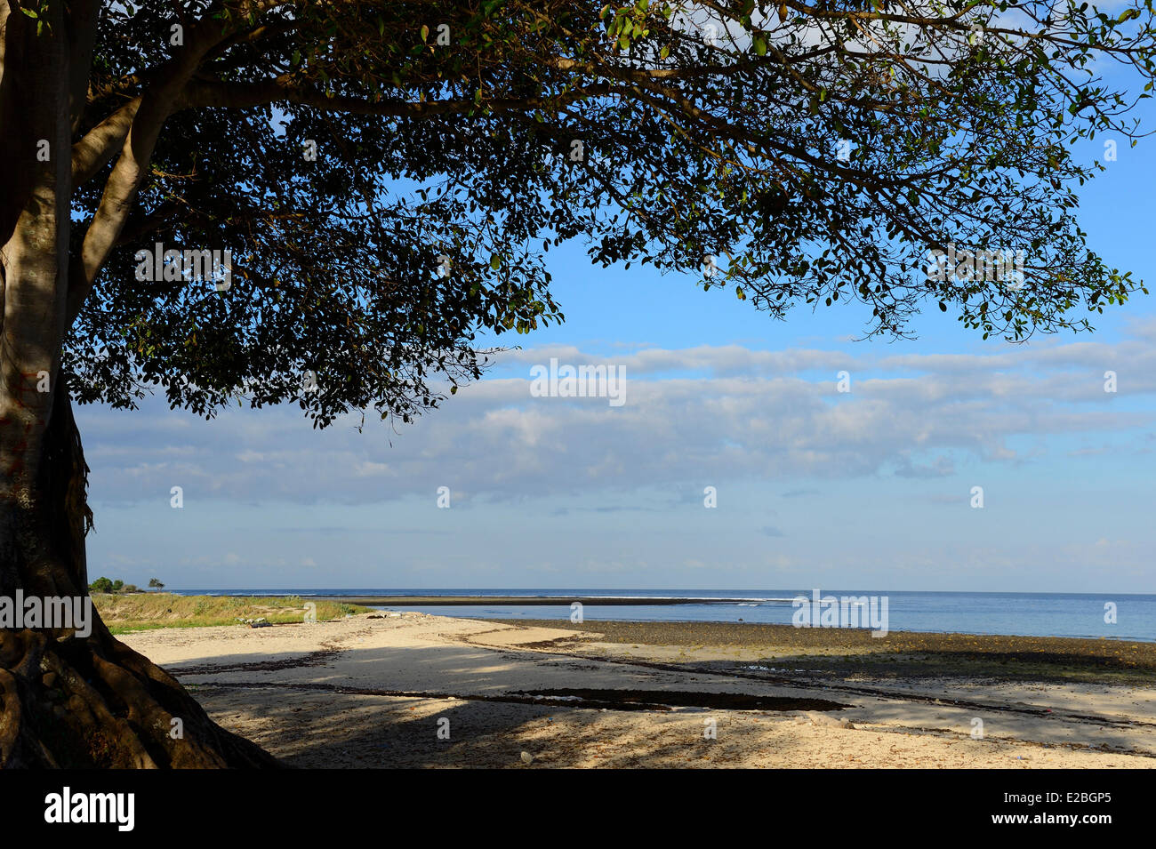 Indonesia, Sumbawa, Pantai Lakey, the beach is famous for its surf ...
