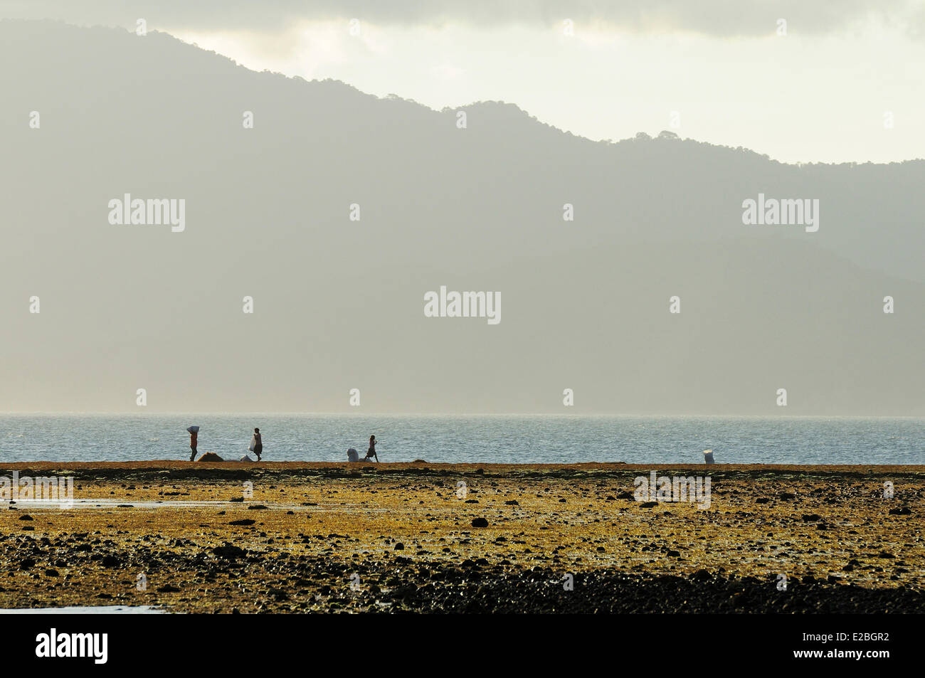 Indonesia, Sumbawa, Pantai Lakey, the beach is famous for its surf ...