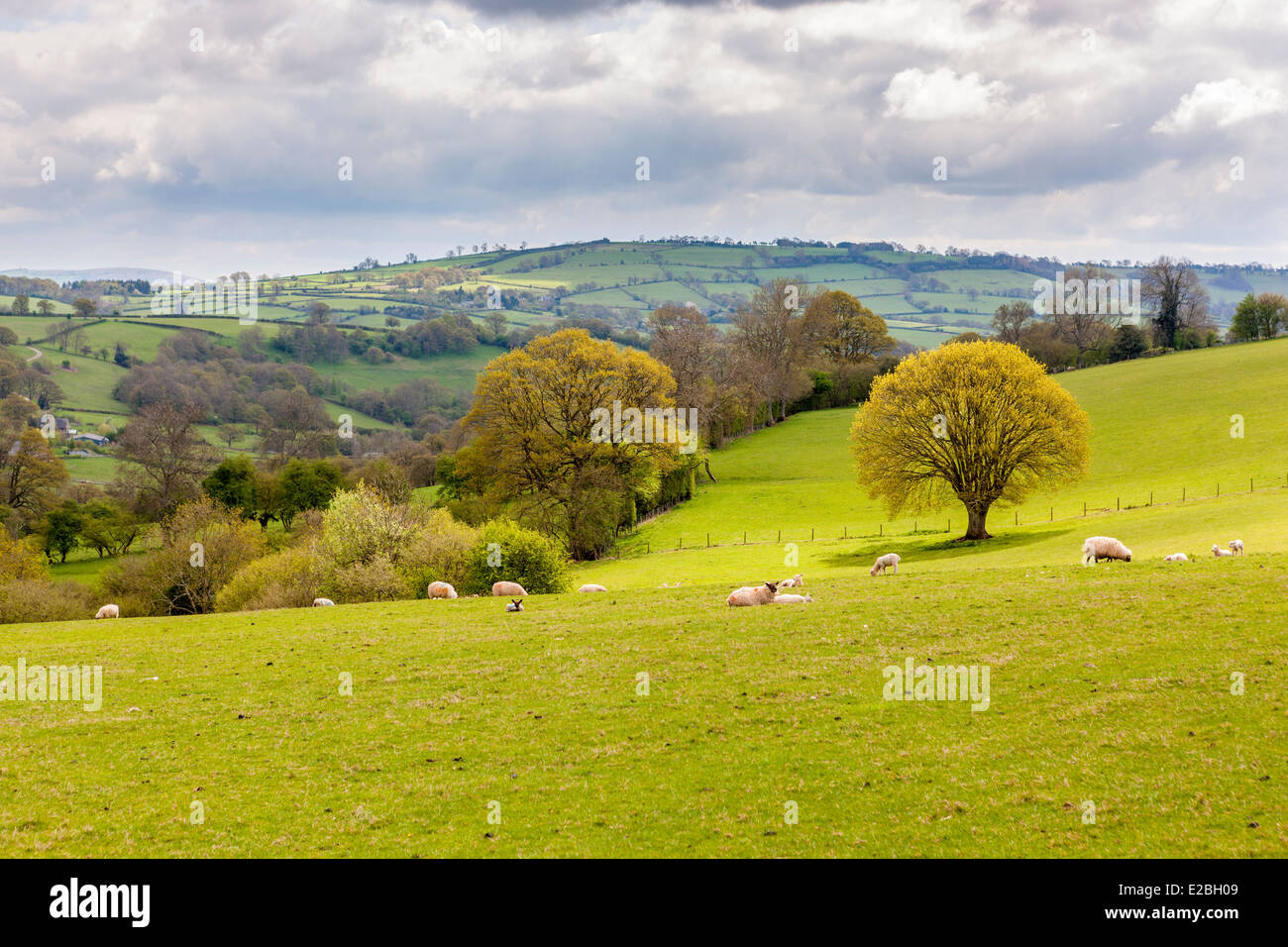 Herefordshire life hi-res stock photography and images - Alamy