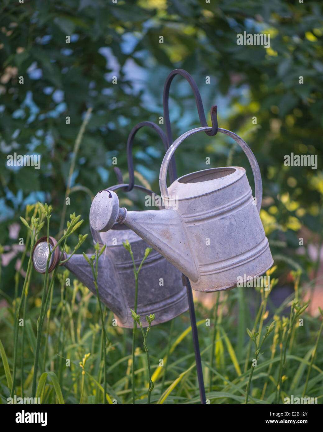 Hanging Metal Watering Cans Stock Photo - Alamy
