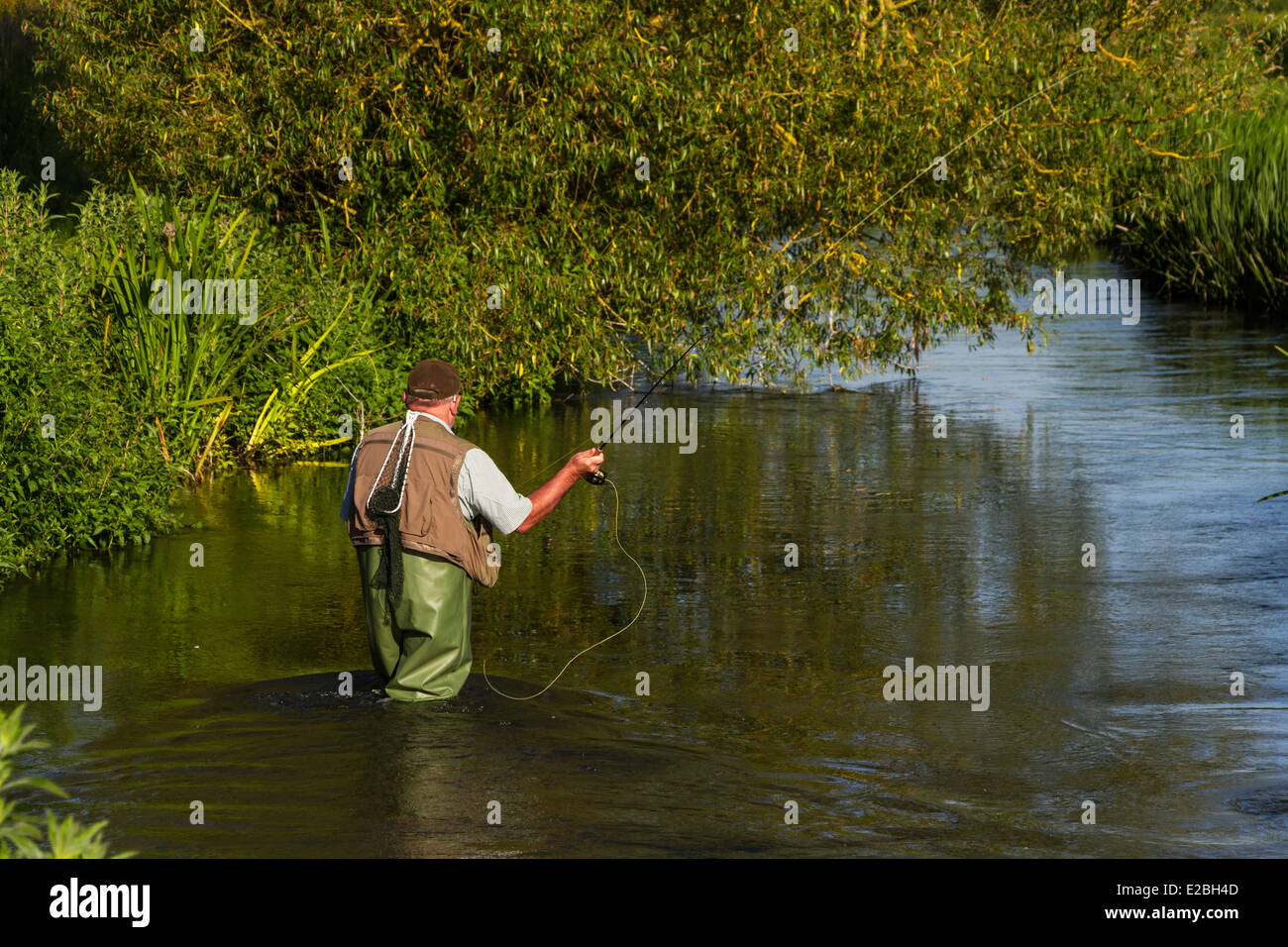 Trout fishing, River Wylye, Wiltshire, England Stock Photo - Alamy