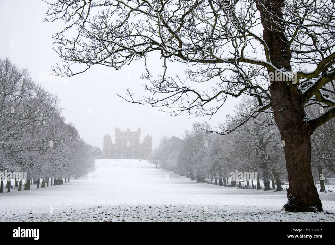Winter Snow at Wollaton, Nottingham England UK Stock Photo - Alamy