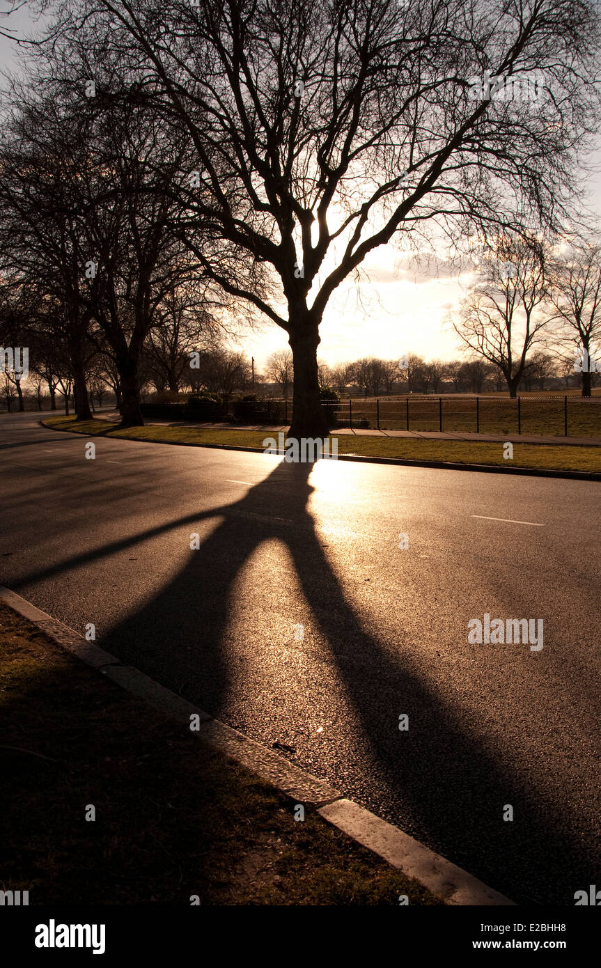 Long tree shadow uk hi-res stock photography and images - Alamy