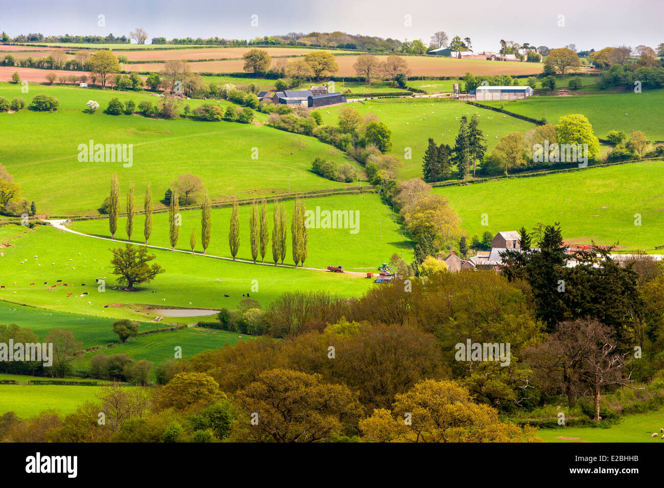 Green fields in Monmouthshire, Wales, United Kingdom, Europe Stock ...
