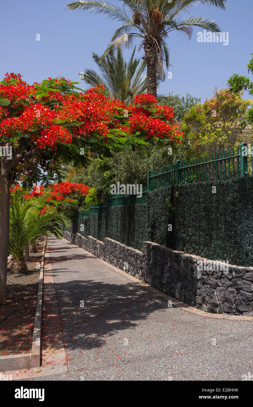 Tree growing around fence High Resolution Stock Photography and Images ...