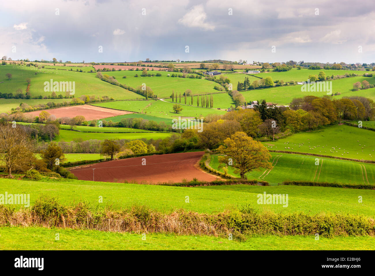 Green fields in Monmouthshire, Wales, United Kingdom, Europe Stock ...