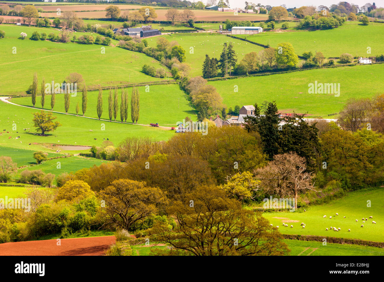 Green fields in Monmouthshire, Wales, United Kingdom, Europe Stock ...